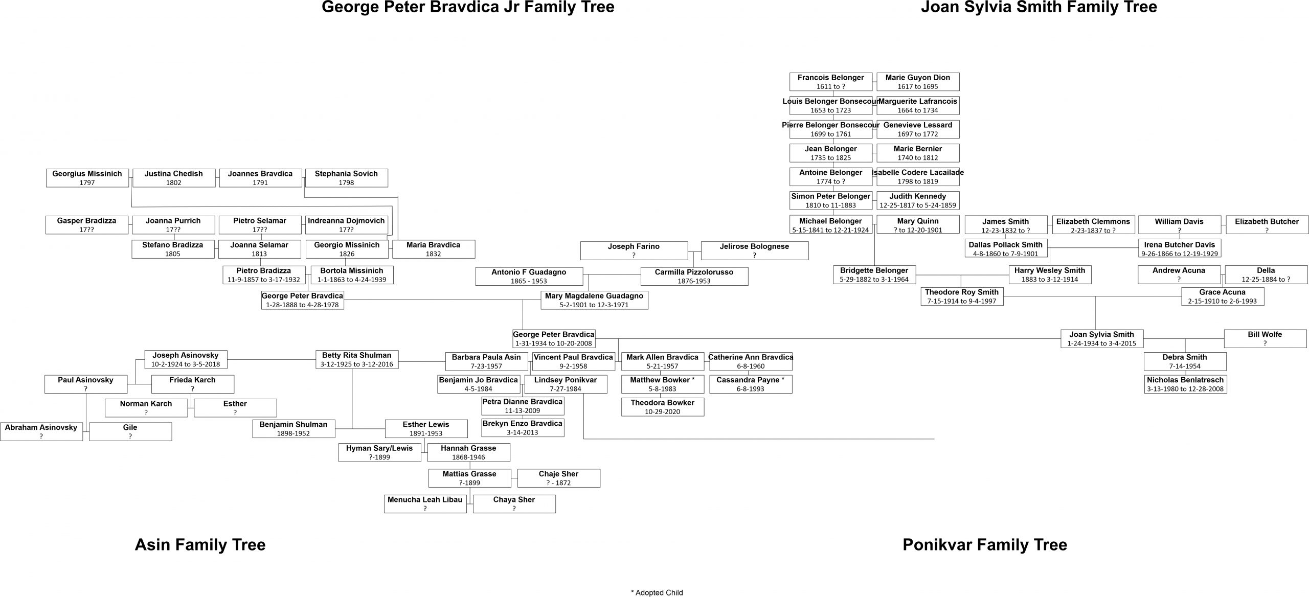 The Bravdica's – Mostly about Me